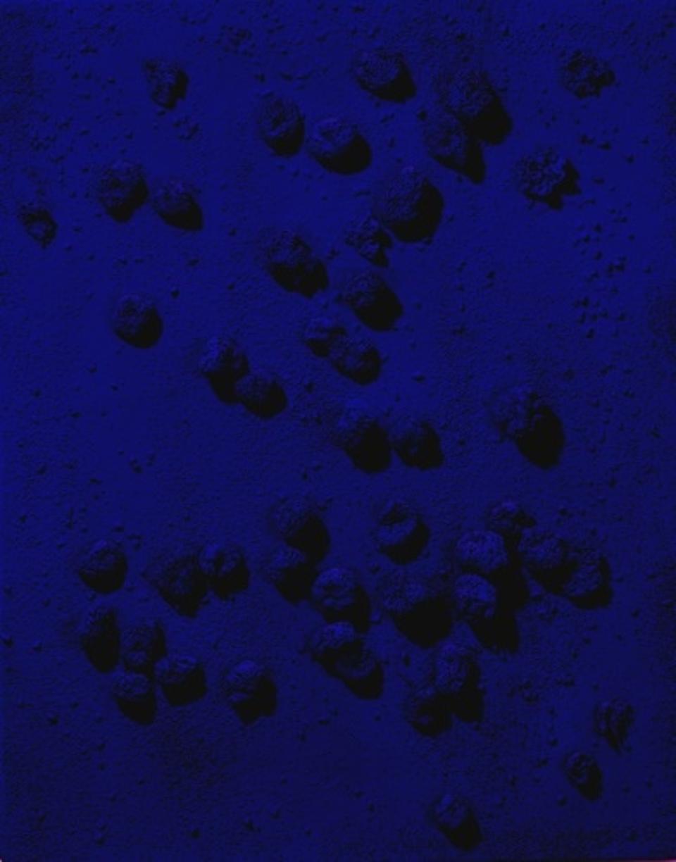Monochrome bleu (IKB 219); (Monochrom Blau, IKB 219) | Staatsgalerie