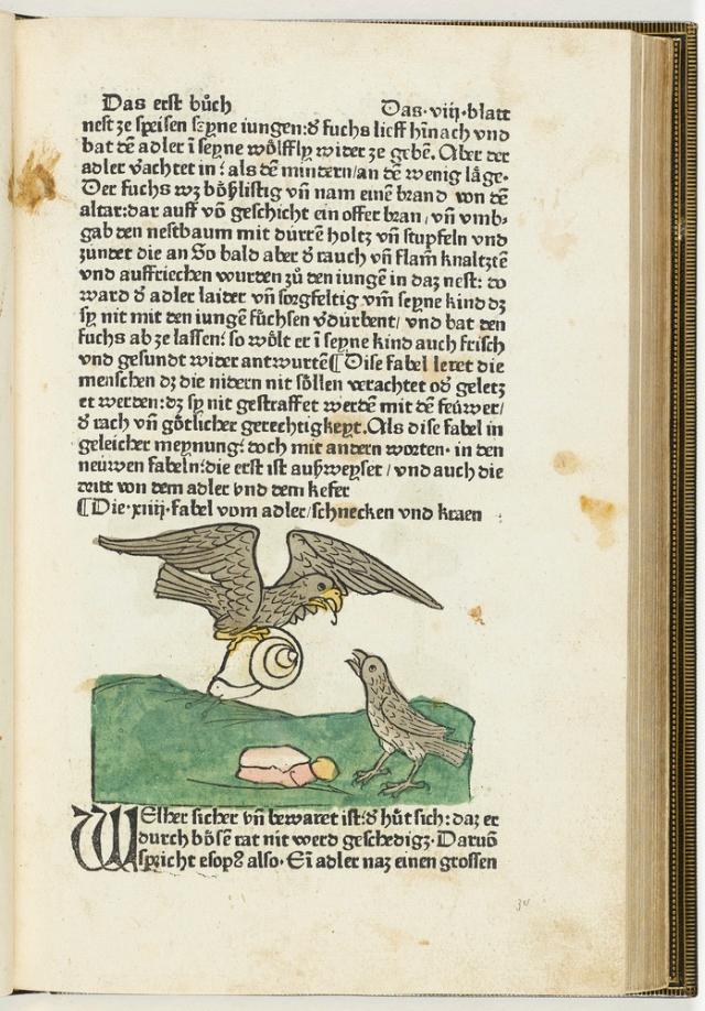 Die 14. Fabel: Vom Adler, der Schnecke und der Krähe (in: Aesopus ...