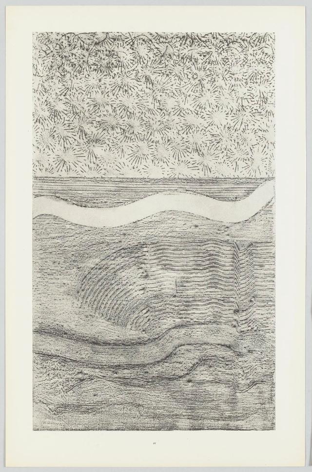 la châle à fleurs de givre (Blatt 4 in: histoire naturelle) | Staatsgalerie